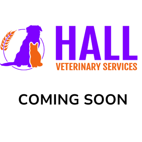 Veterinarian In Lawrence, KS | Hall Veterinary Services